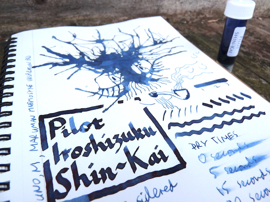 Pilot Iroshizuku Shin-Kai Ink Review | Pens! Paper! Pencils!