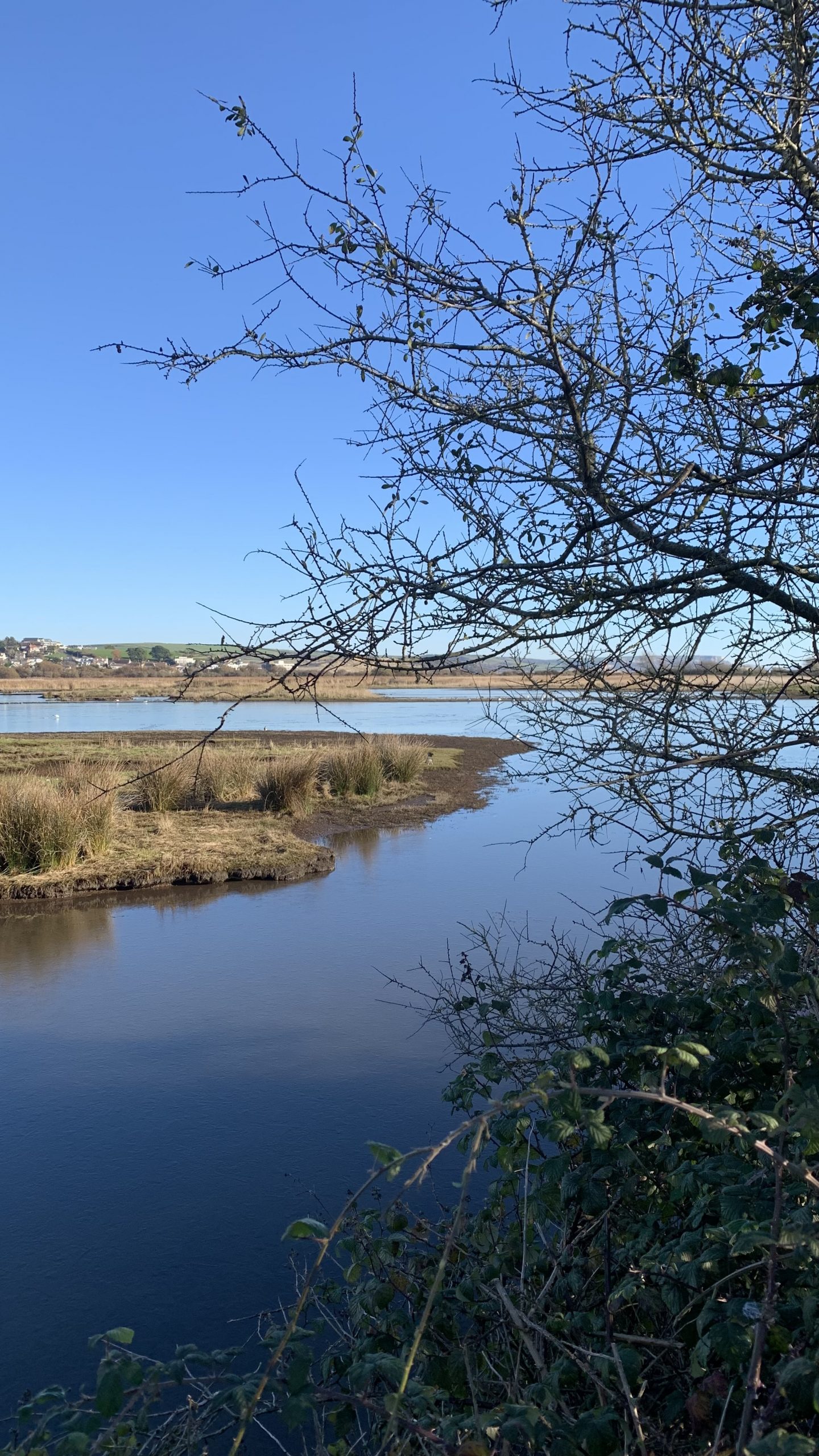 Lodmoor Nature Reserve – Ian Hedley Art